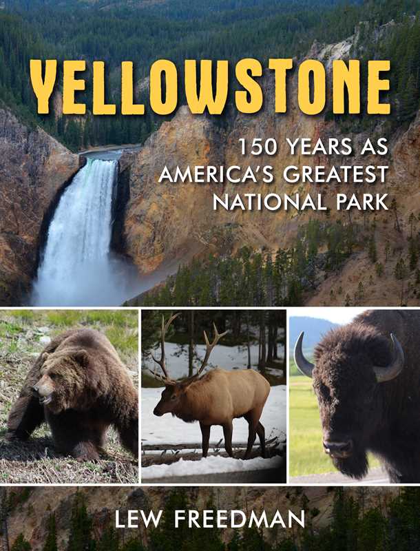 Simon & Schuster - Yellowstone by Lew Freedman – MOOSE & MANDER